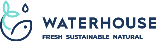 I nostri business – Magister Group
